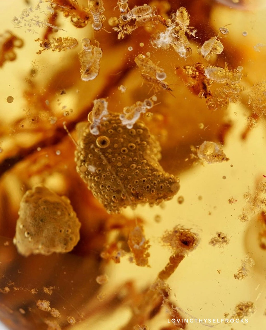 Amber Meaning and Healing Properties – lovingthyselfrocks