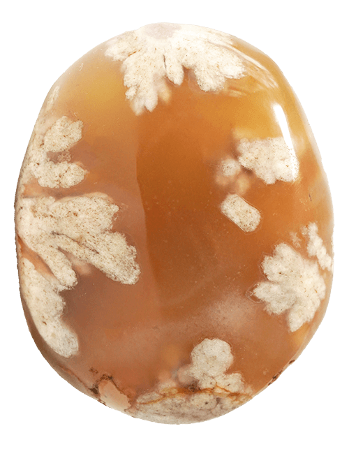 Flower Agate Meaning and Healing Properties – lovingthyselfrocks