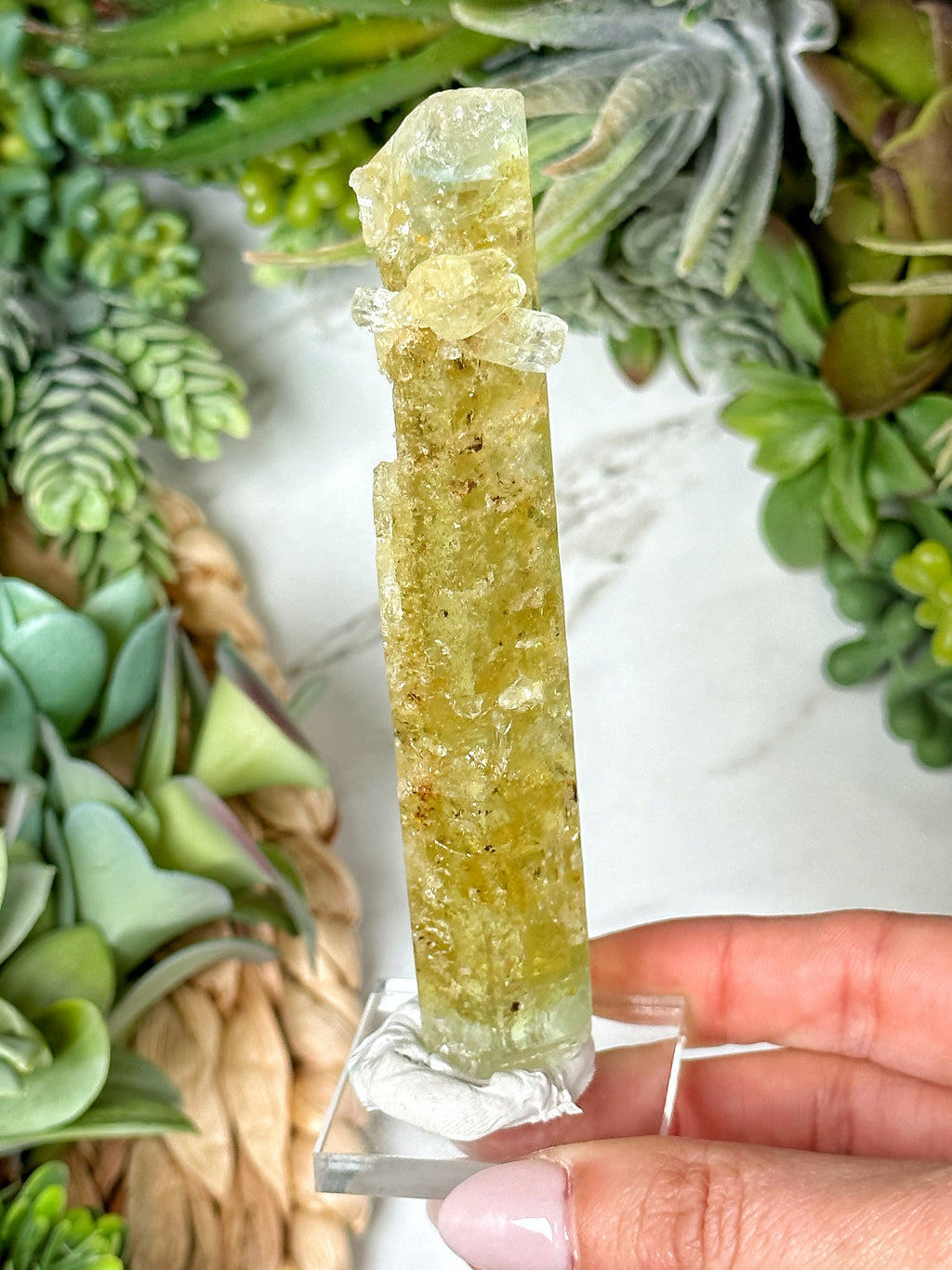 Rare Etched Heliodor Specimen - #2 – lovingthyselfrocks
